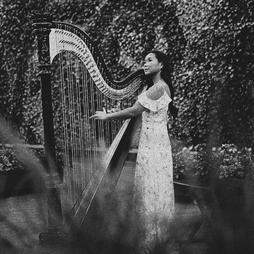 MUSICIANS | Corporate Music Hire